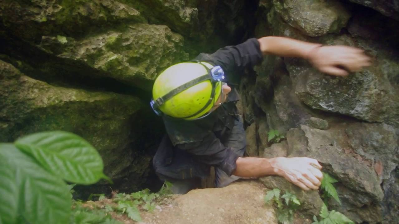 Evolution in extreme habitats - YouTube