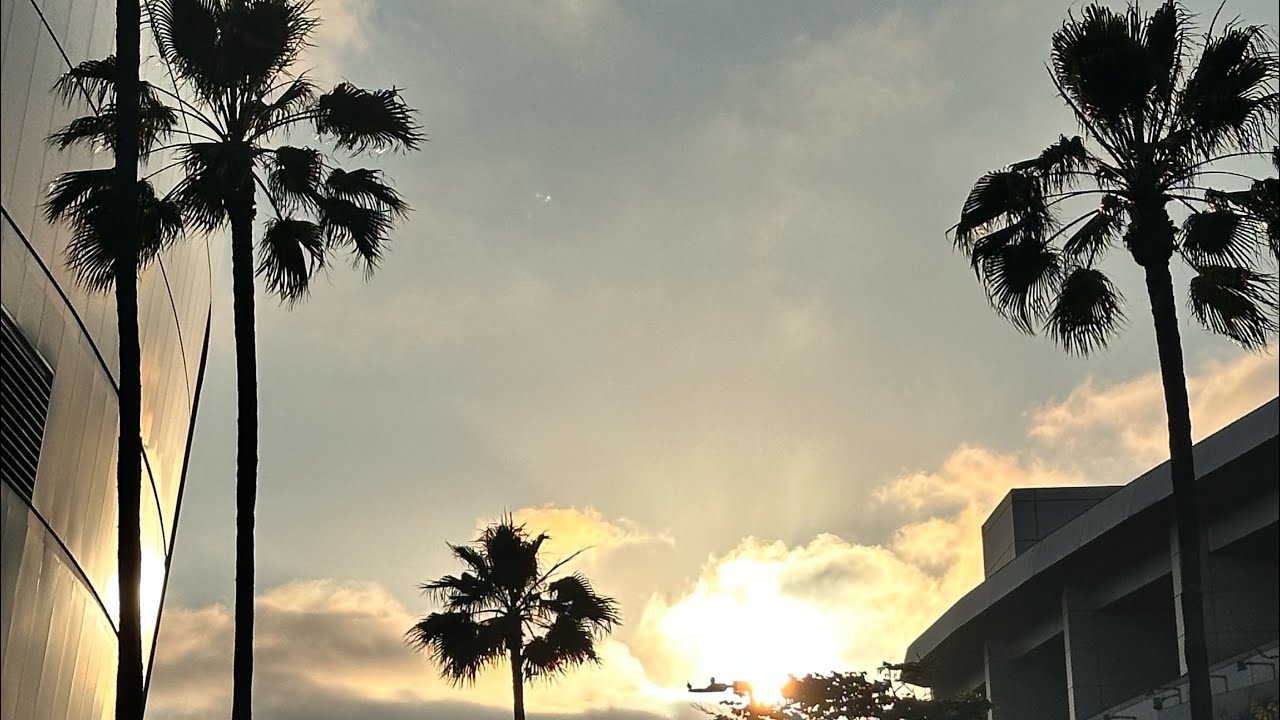 Introduction to my human experience - YouTube