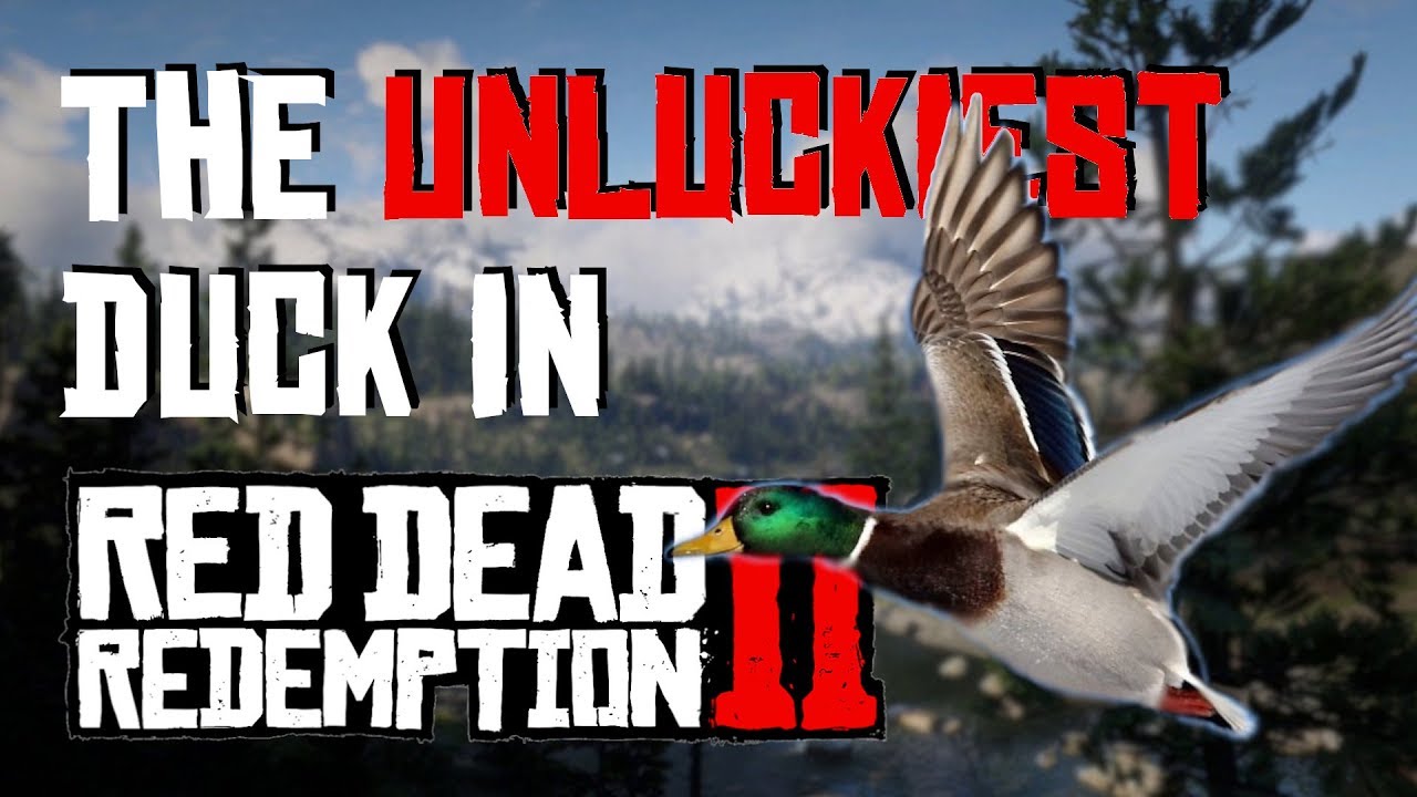 The UNLUCKIEST Duck in RED DEAD REDEMPTION 2 - YouTube