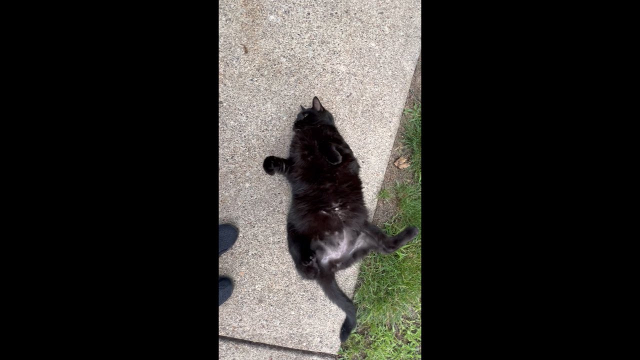 He does a flop and roll - YouTube