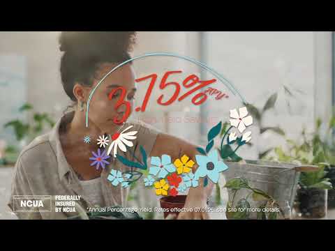 Grow Your Savings | 3.75% APY