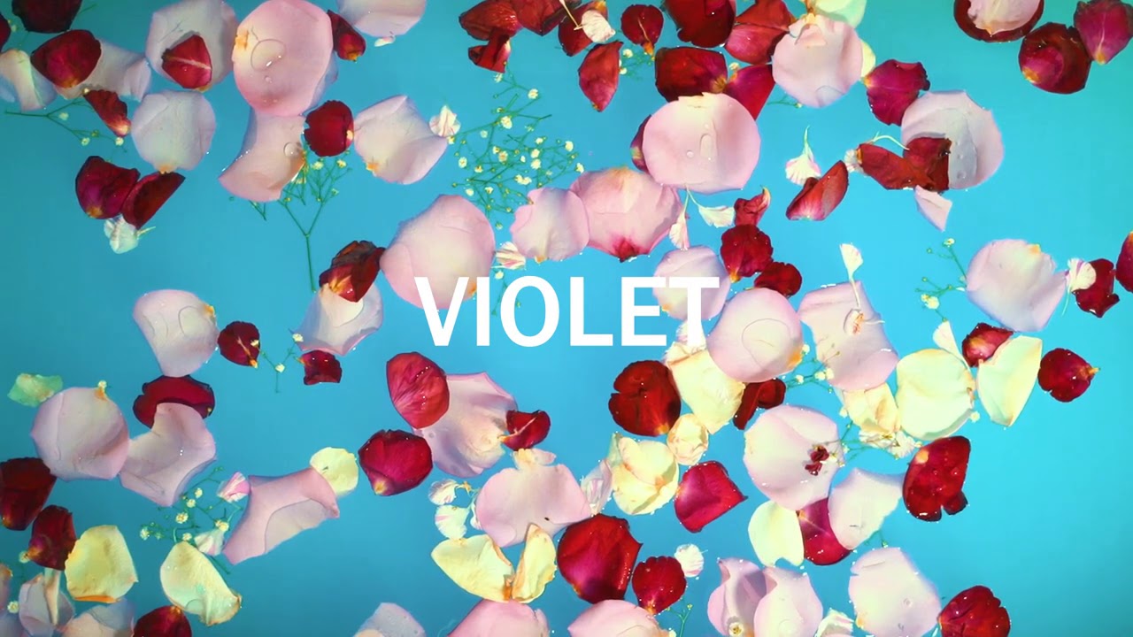 NORTH - VIOLET (Official Audio from ANDRWTR) - YouTube