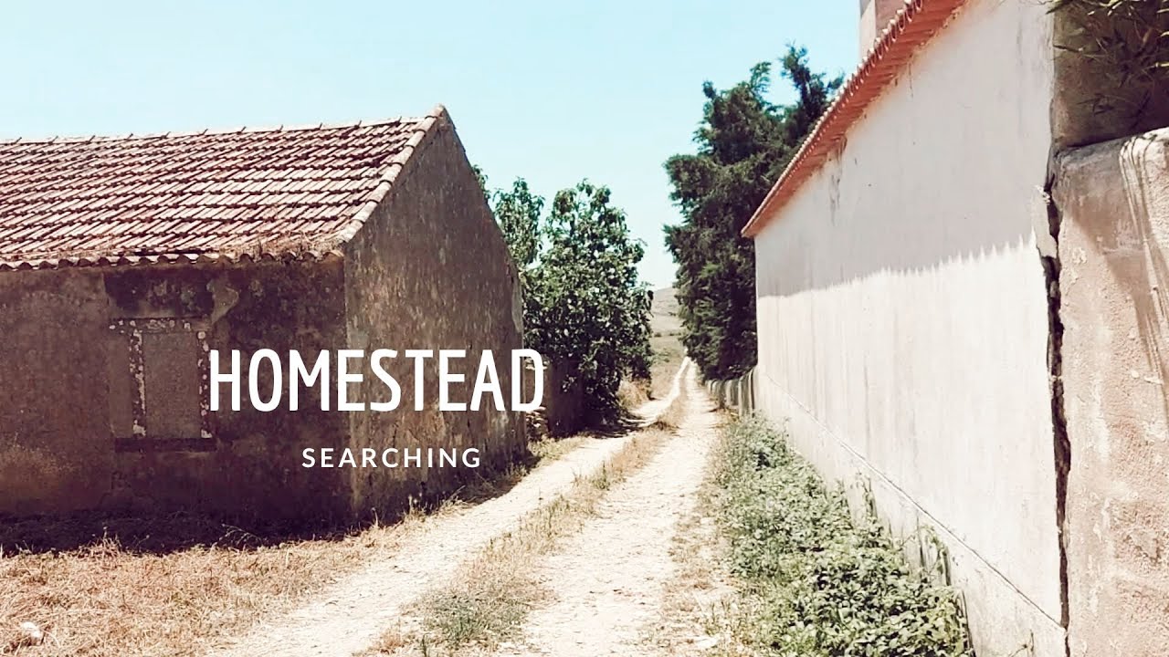 #9 Looking for PROPERTIES | Searching for our forever HOMESTEAD - YouTube