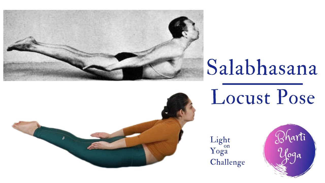 Salabhasana | Locust Post | Light on Yoga Challenge Iyengar Yoga - YouTube