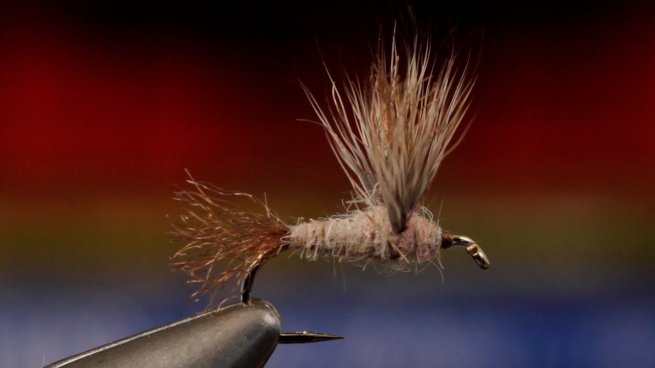 Hendrickson Sparkle Dun - YouTube