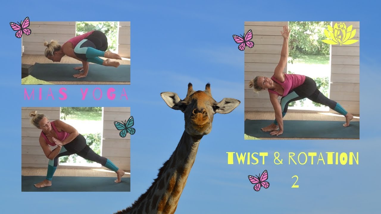 Twist & rotation 2 - YouTube