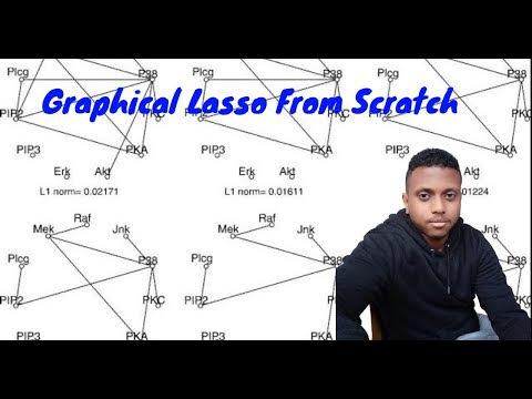 Programmation Of Graphical LASSO From Scratch in R - YouTube