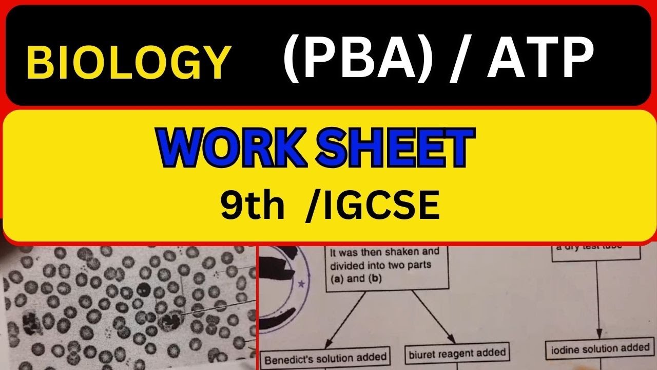 BIOLOGY PBA/ ATP WORKSHEET | 9th /IGCSE | - YouTube