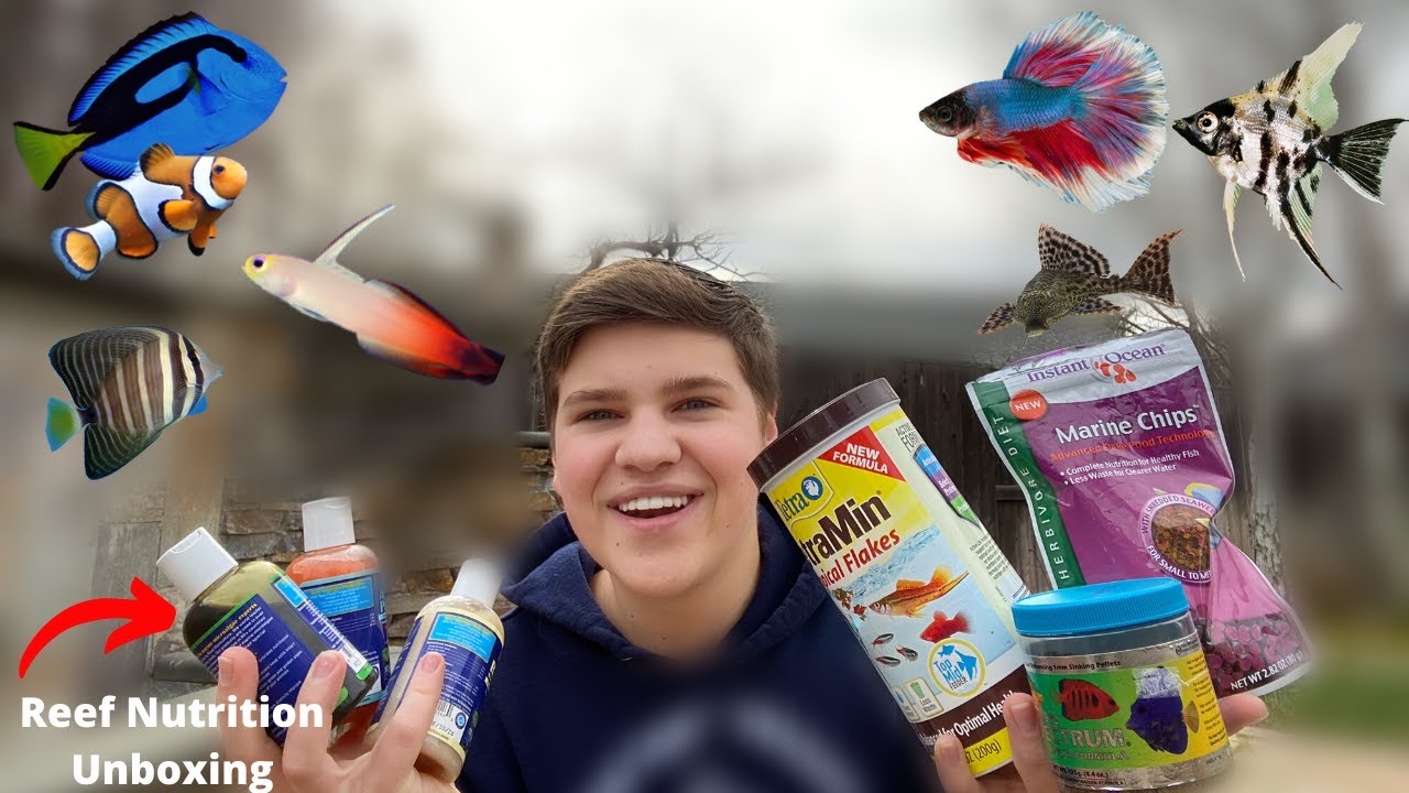 FEEDING ALL MY FISH (Reef Nutrition Unboxing) - YouTube