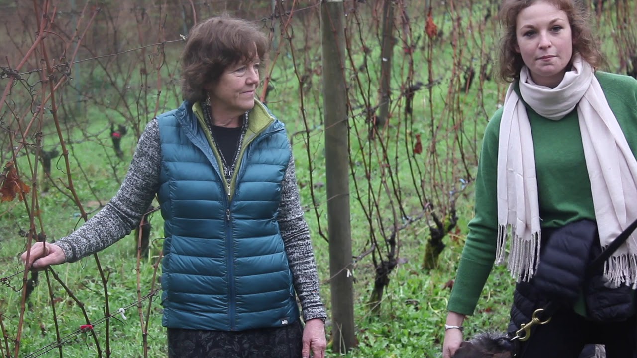 Winemaker Interview: Challenges of the Puget Sound AVA at Bainbridge ...