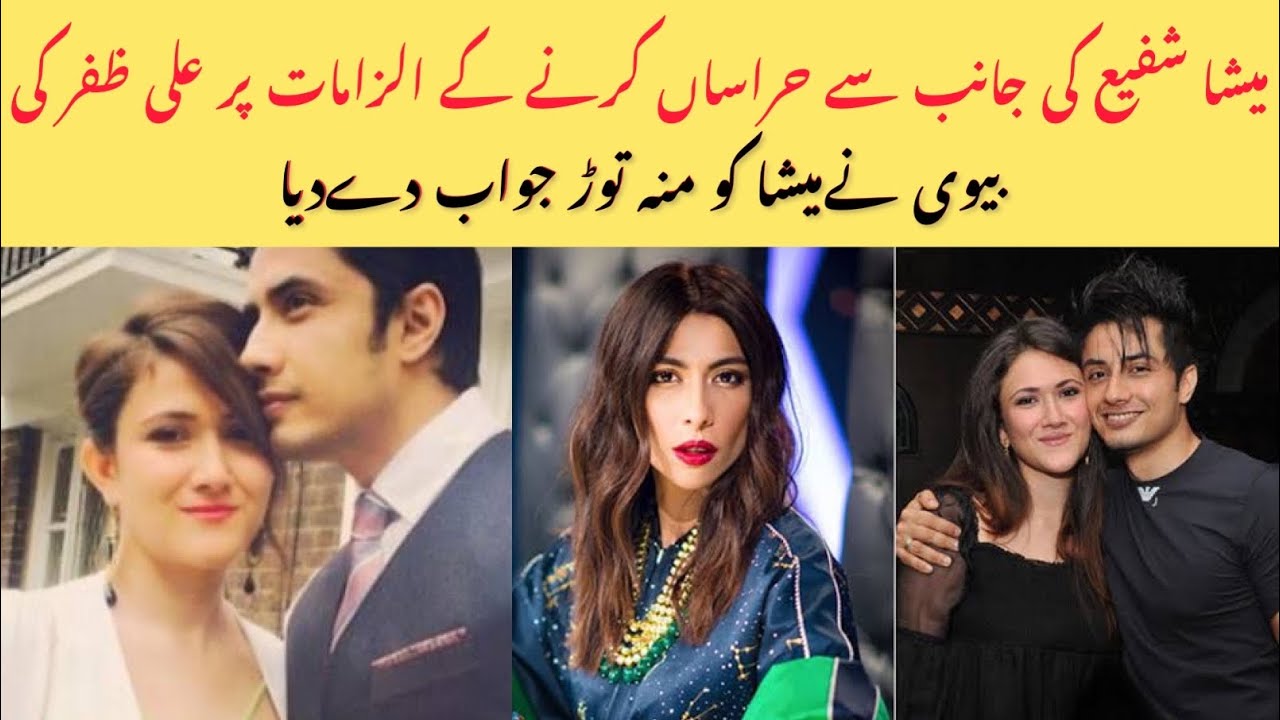 Ali Zafar's wife Ayesha told the truth of allegations accused by mesha ...