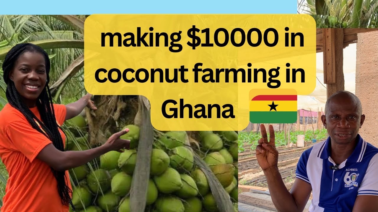 The Cost of starting coconut farming from scratch and the Profits of ...