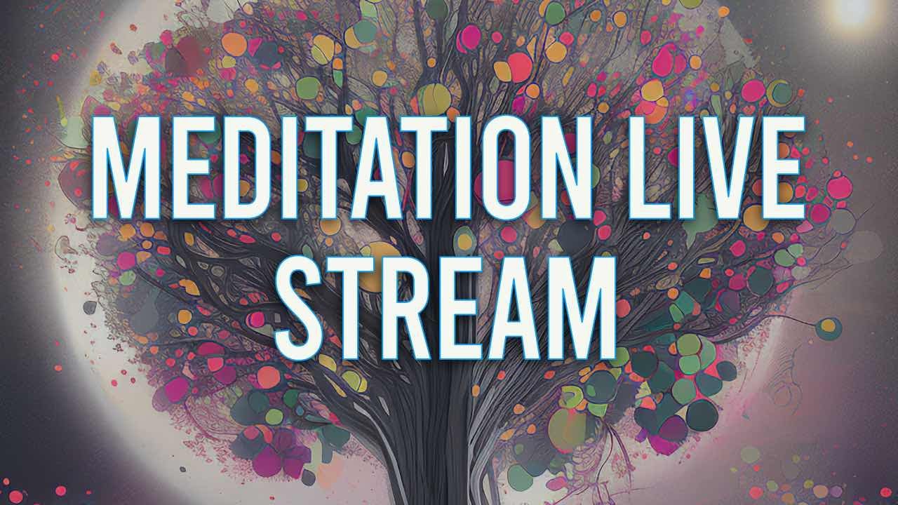 02/24/25 meditation live stream - YouTube