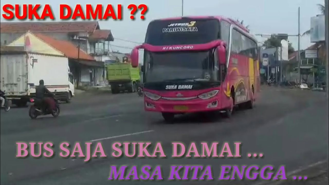 SUKA DAMAI ?? BUS AJA SUKA DAMAI, MASA KITA ENGGA ... !! Bismania - YouTube