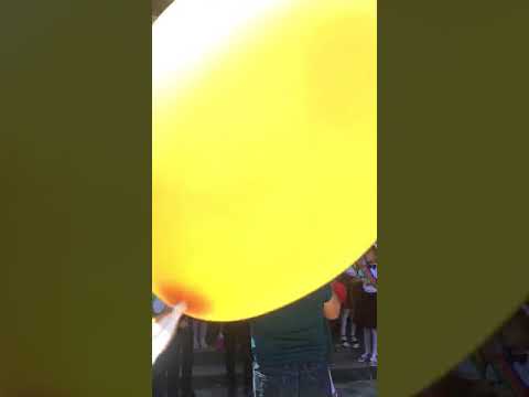 Qazax 4 nömrəli son zəng 2018