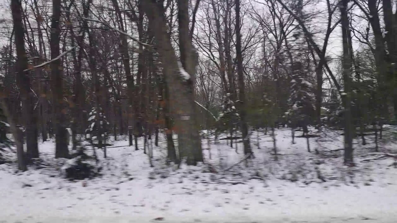 COLD ROADSIDE VIEW - DRIVING IN THE WINTER - POV HD - TREES AND WOODS ...