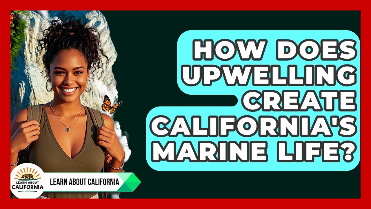 How Does Upwelling Create California's Marine Life? - Learn About ...