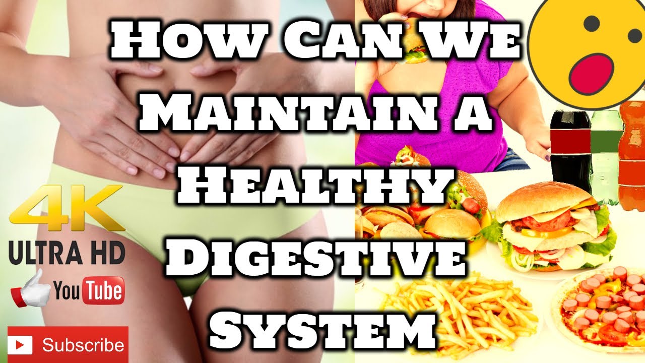 How Can We Improve and Maintain a Healthy Digestive System | 10 Best ...