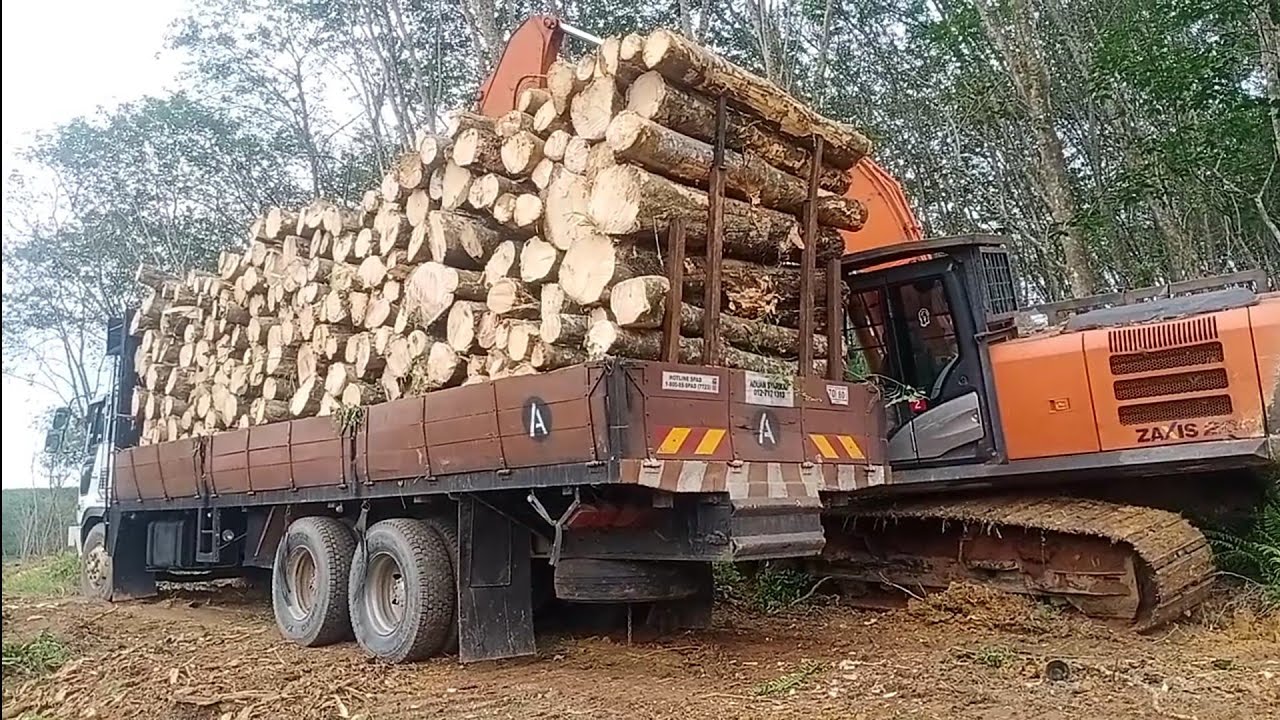 Excavator Hitachi Zaxis200 Isi Log Kayu Getah | Lori Cargo Malaysia ...