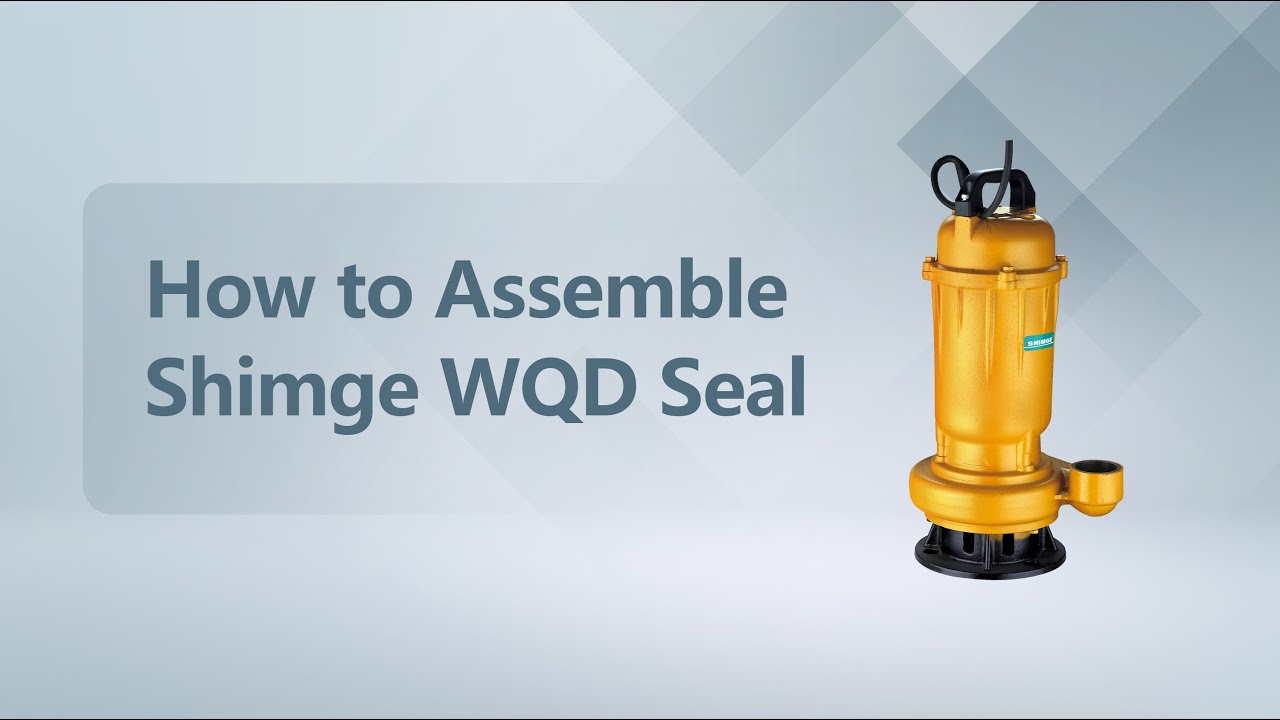 Shimge Guide: How to Assemble the WQD Double End-Face Mechanical Seal ...