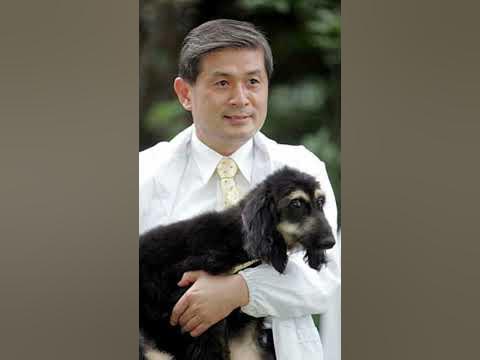 Would you CLONE your DOG in Seoul, South Korea? - YouTube