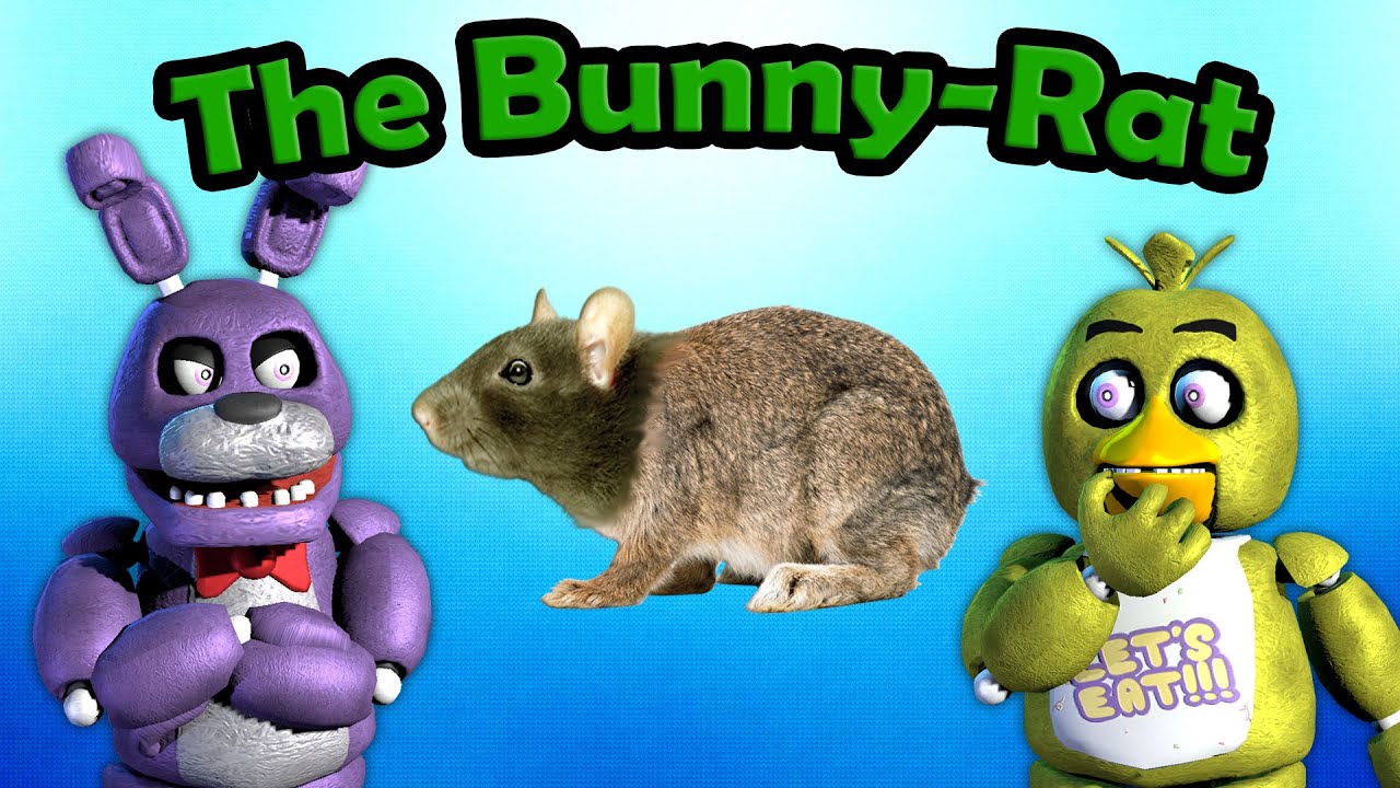 Freddy Fazbear and Friends "The Bunny-Rat" - YouTube