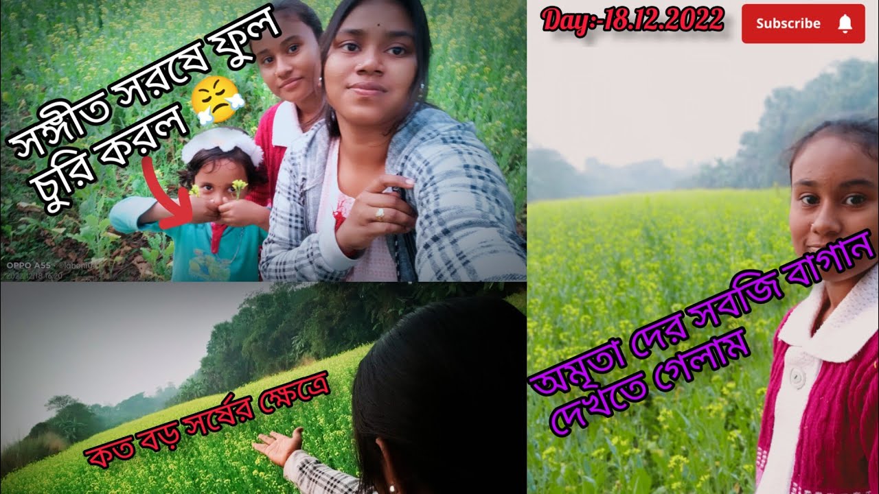 সঙ্গীতা সরষে ফুল চুরি করল||Labonilifestyle||bengoli vlogs||Khalna ...