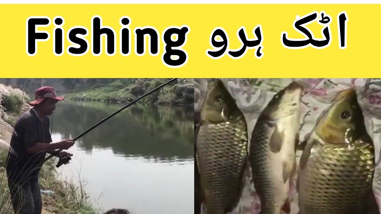 Fishing in Harro River Attock |Fishing in Pakistan| How to Fish| # ...