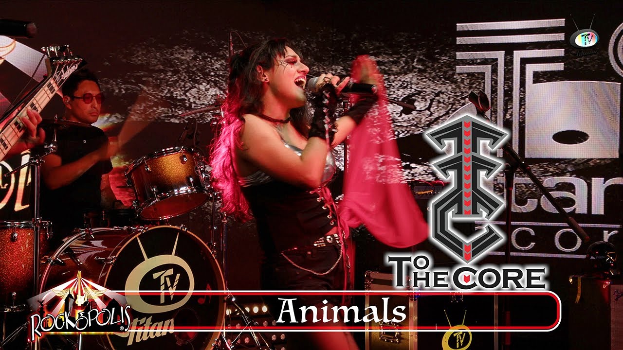 To The Core - Animals - YouTube