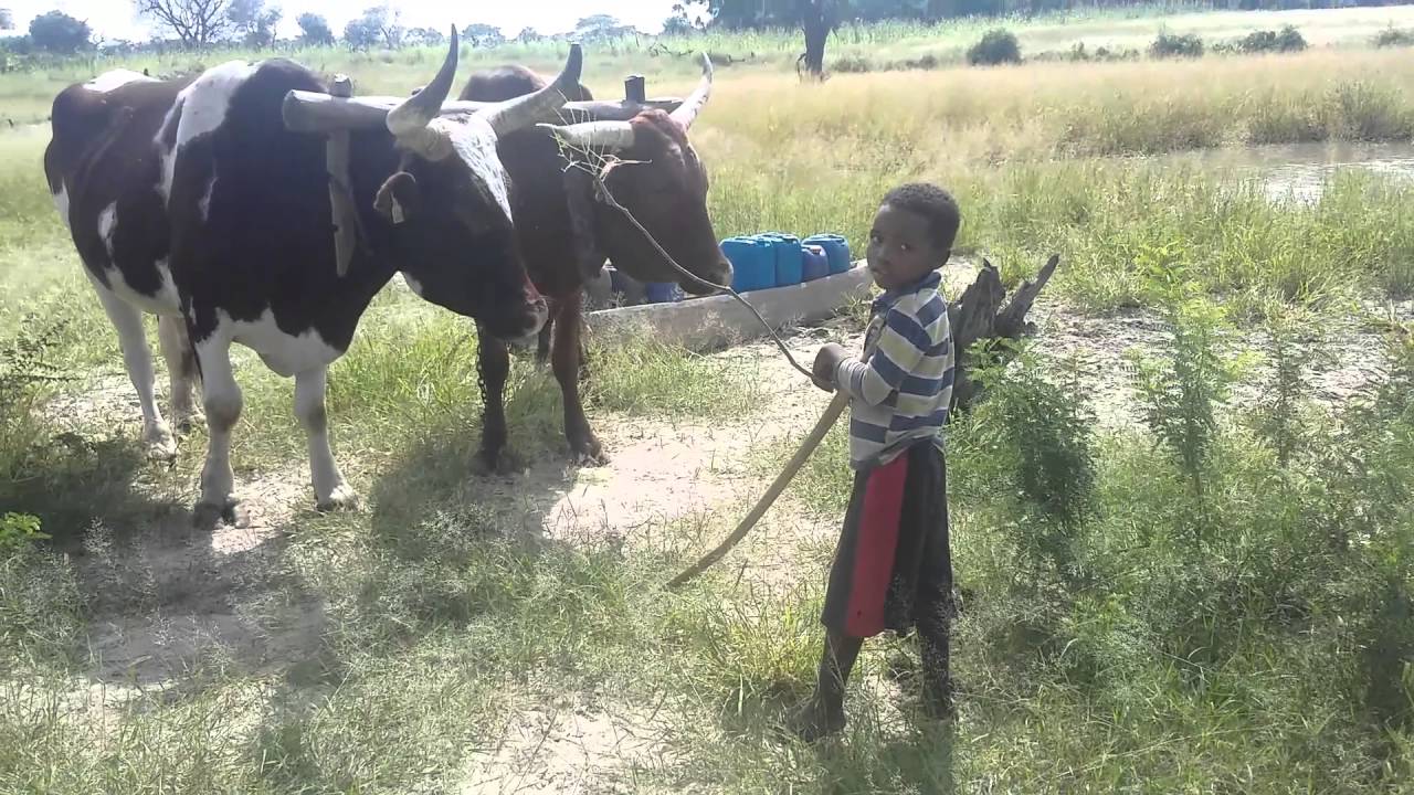 Kavango traditional - YouTube