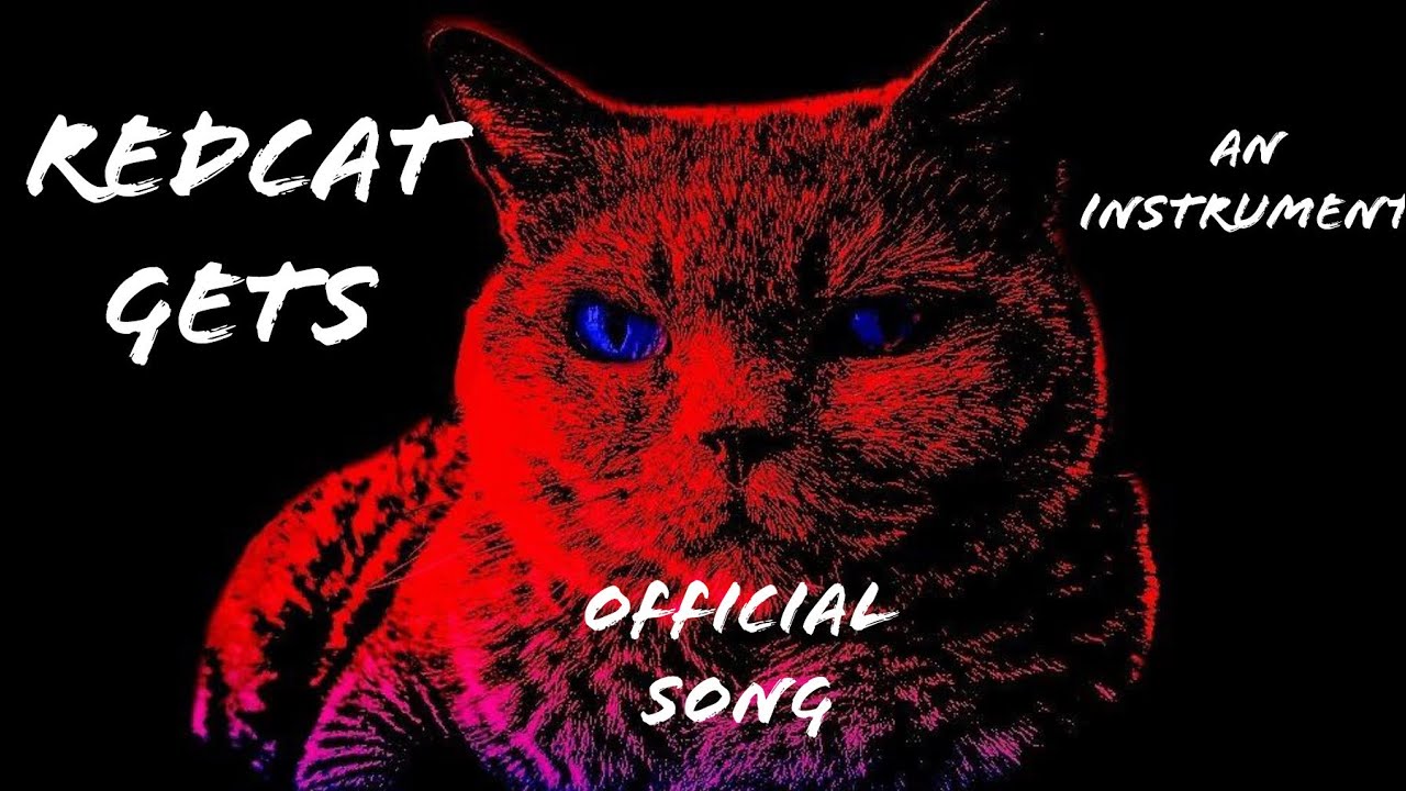 Redcat gets an instrument (official song) - YouTube