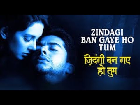 Zindagi Ban Gaye Ho Tum | Udit Narayan | Alka Yagnik | Lisay Ray ...