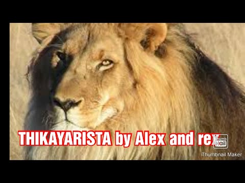 tikaya vista  by Alex and rex