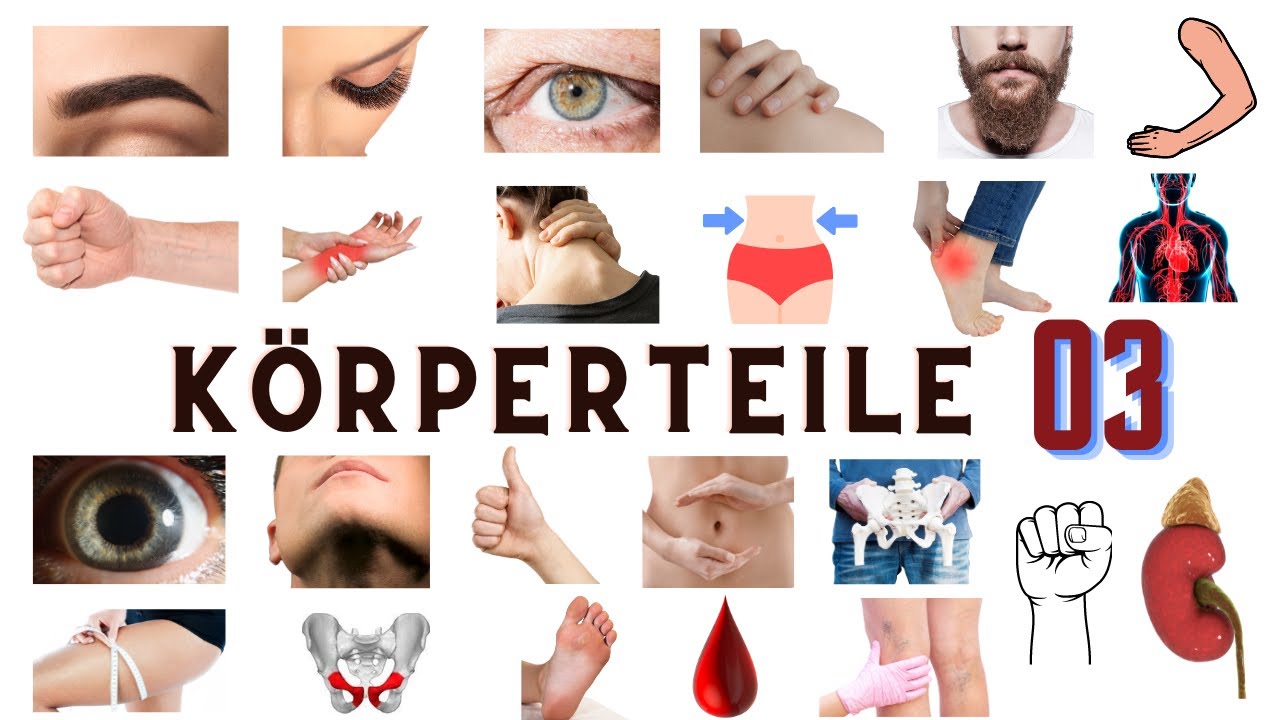Deutsch lernen: Körperteile (Teil 03) - YouTube
