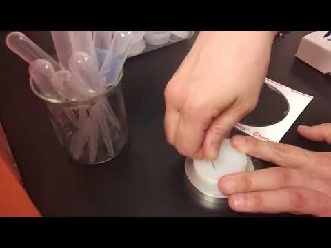 XOS Phoebe - Soctrade