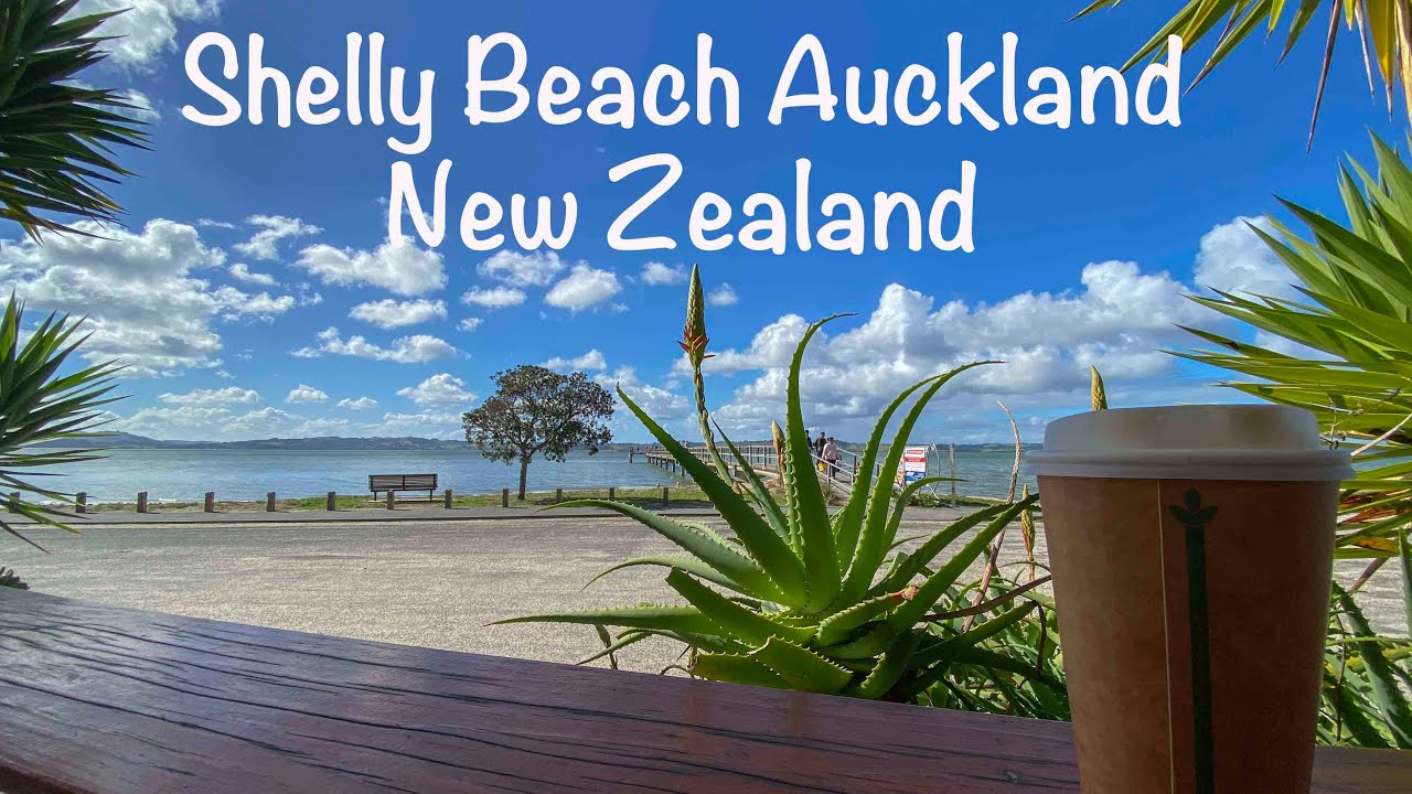 Shelly Beach _ Auckland - New Zealand - YouTube