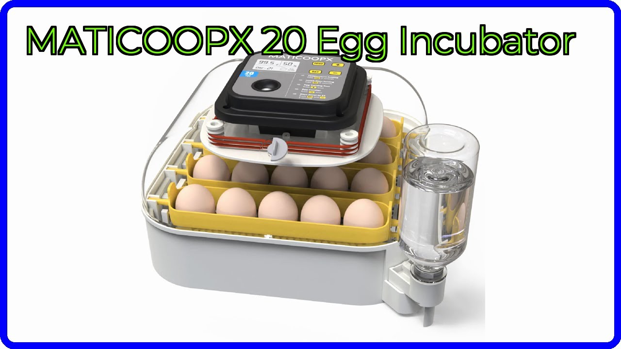 REVIEW (2026): MATICOOPX 20 Egg Incubator. ESSENTIAL details. - YouTube