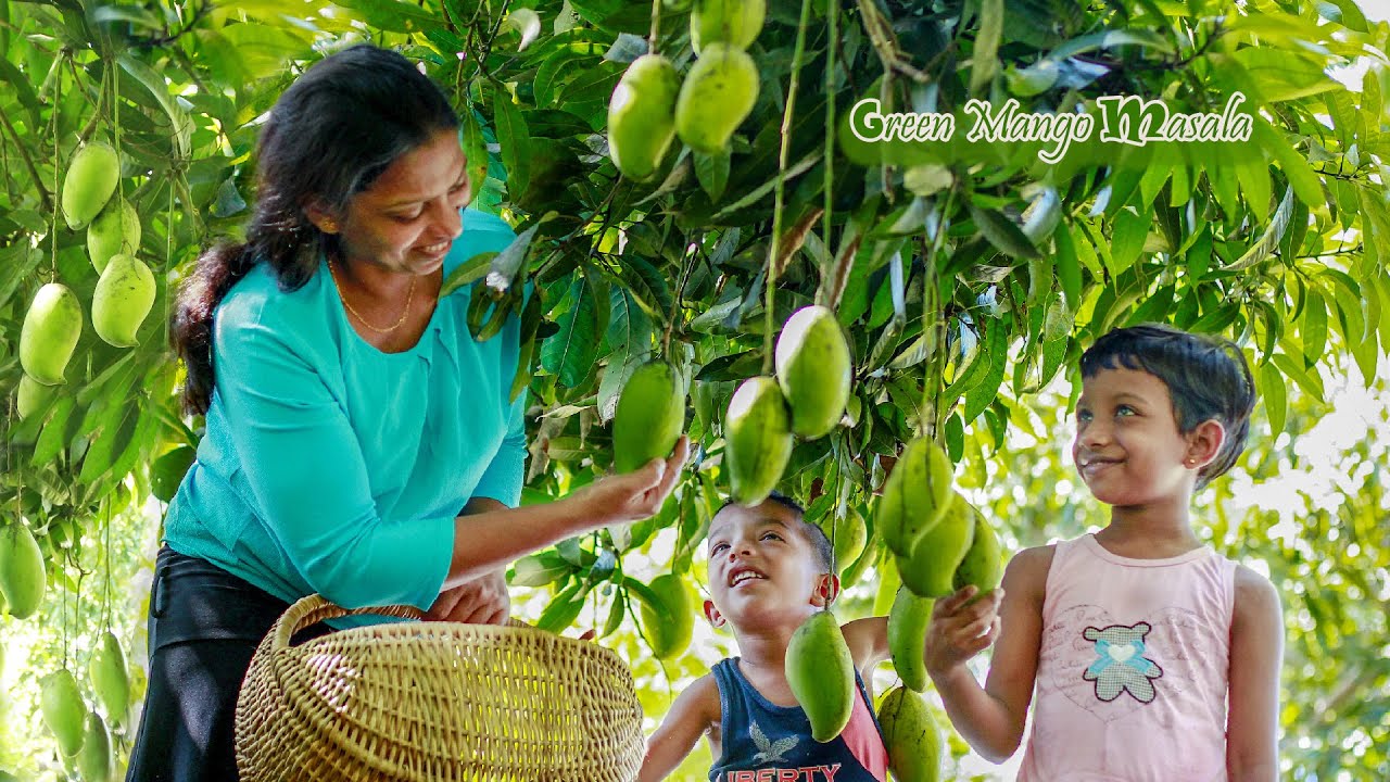 Green mango|| masala and special Sri Lankan mango curry | mali cooking ...
