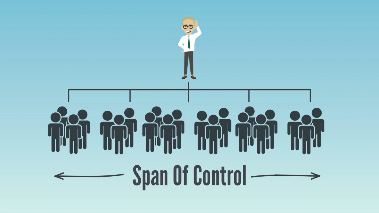 Span Of Control (Wide vs Narrow) | A-Level Business - YouTube
