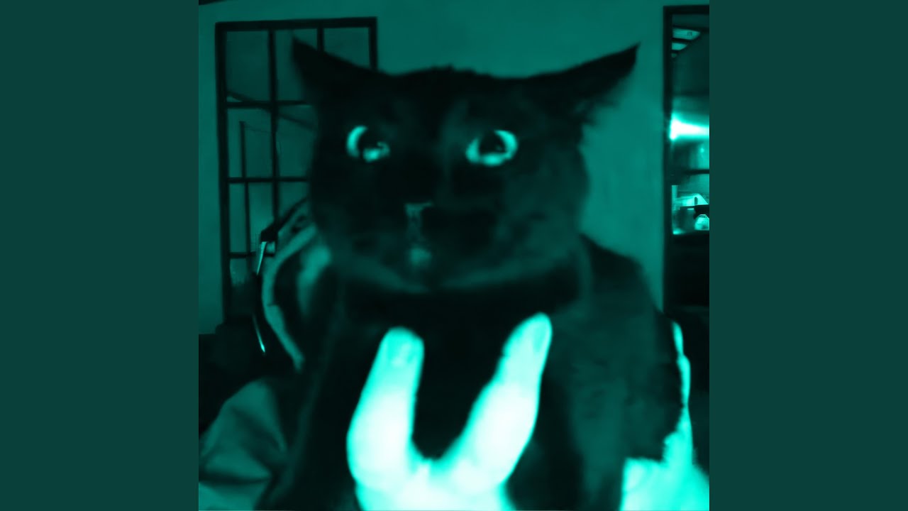 CASEOH KITTY (Slowed) - KURUM1: Song Lyrics, Music Videos & Concerts