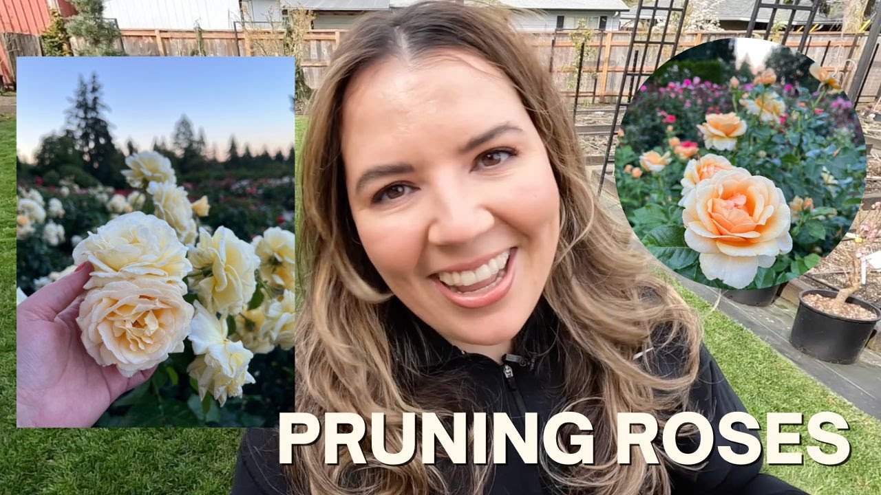Pruning Roses, Flower Bed Cleanup, Prepping Raised Garden Beds 🌹🌿 - YouTube