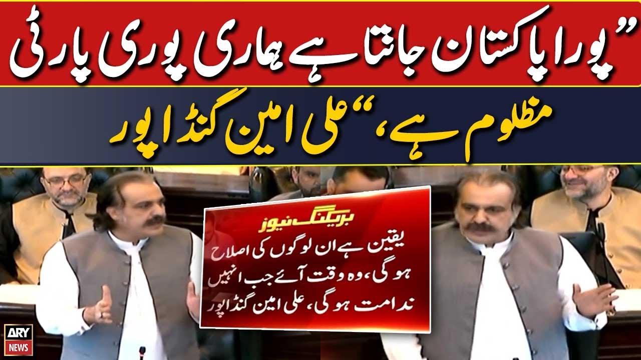 "Poora Pakistan Janta Hai Humari Poori Party Mazloom Hai," Ali Amin ...