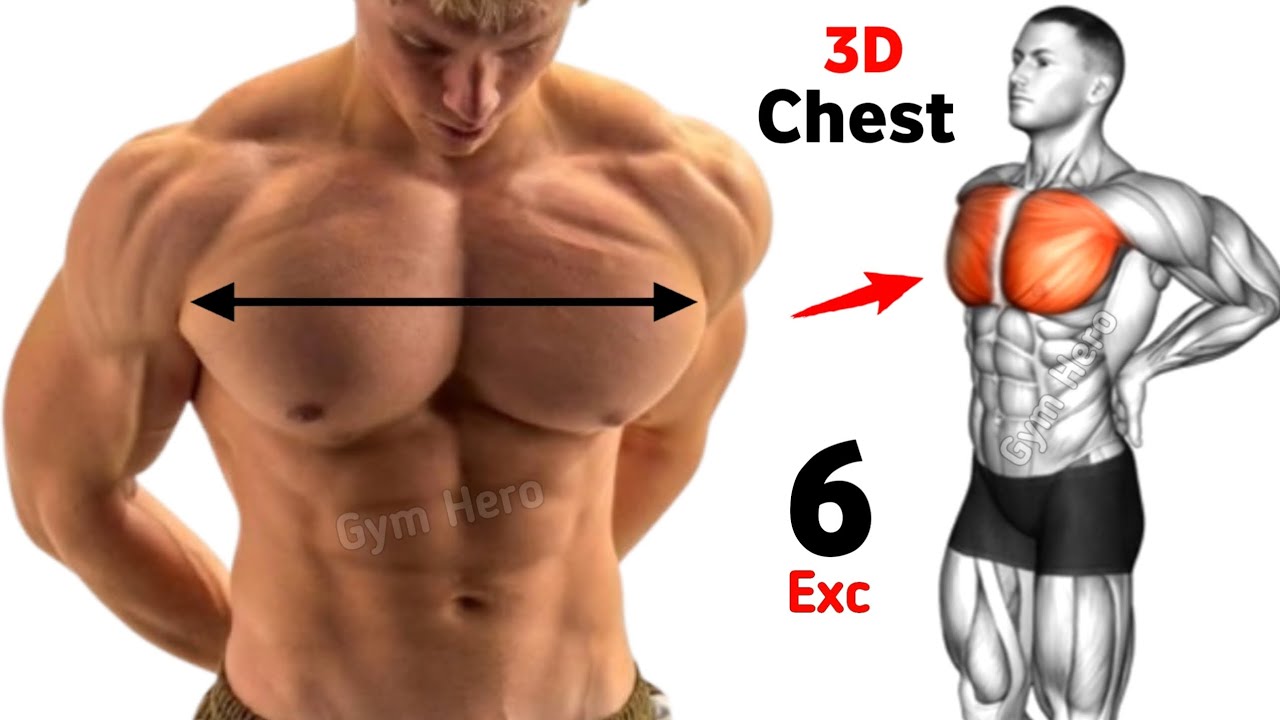6 Effective Chest Day Exercises for Fast Muscle Gain - YouTube