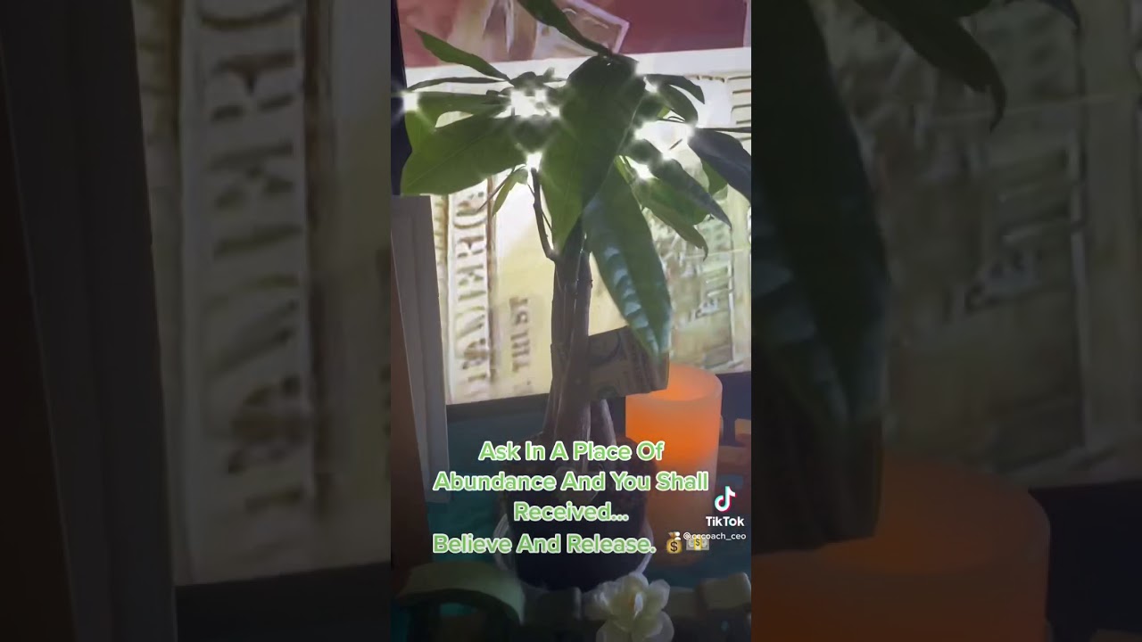 Ching Ching Ching Goes The Money Tree - Money Mantra 🕉 - YouTube