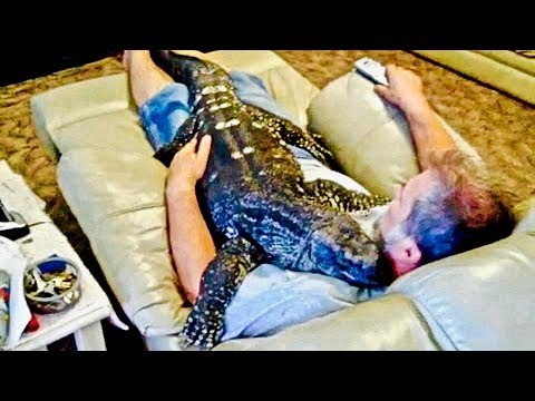 MAN AND BEAST - Part 22