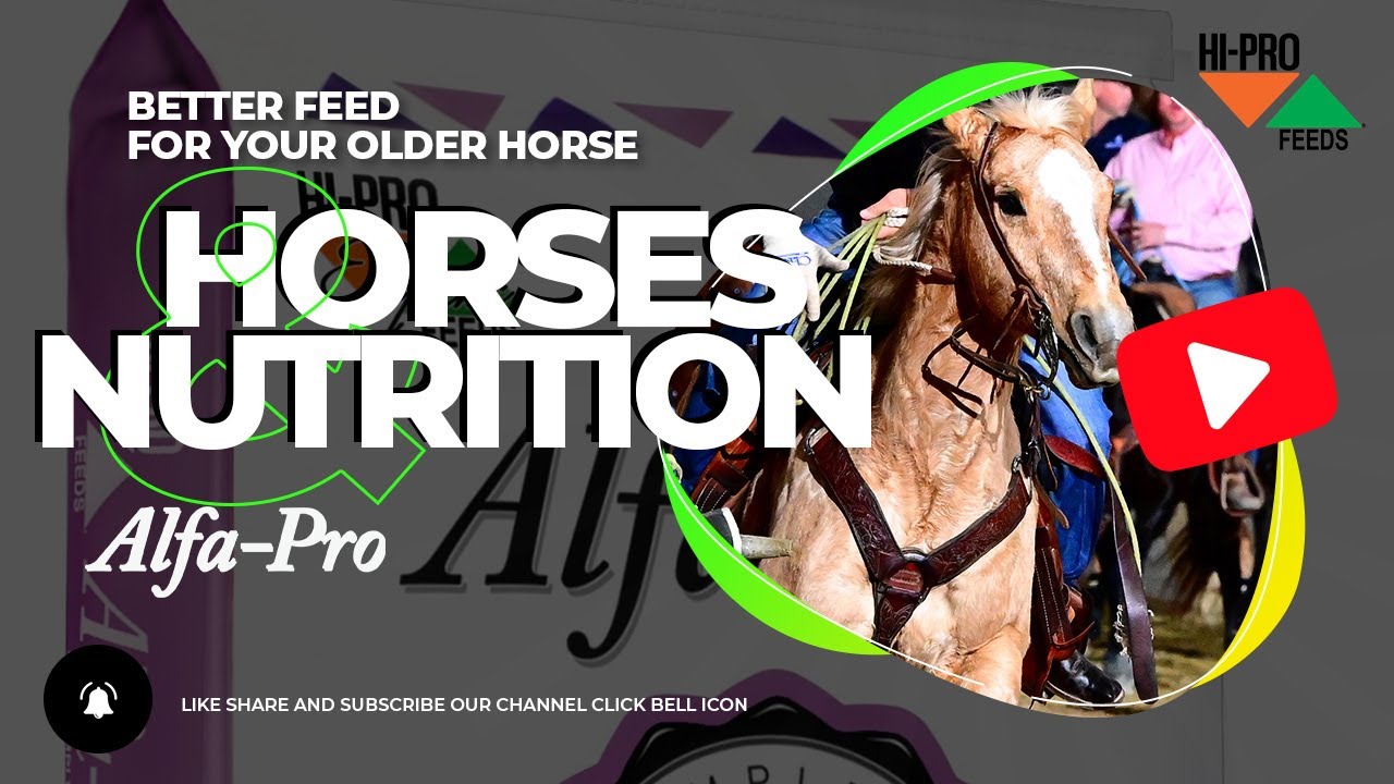 Alfa-Pro - Better feed for your horses! - YouTube
