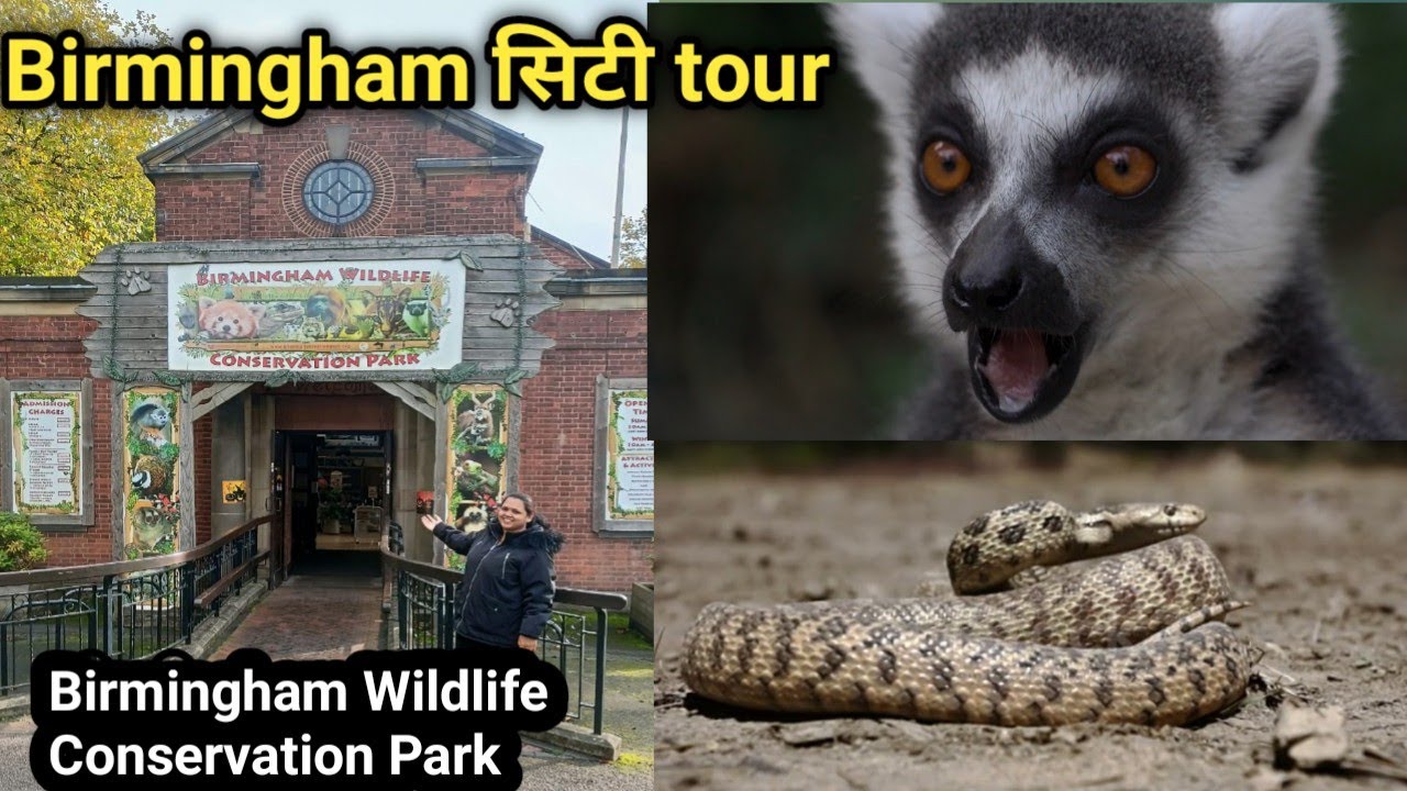 BIRMINGHAM सिटी TOUR || BIRMINGHAM WILDLIFE CONSERVATION PARK 🏞️🌄 ...