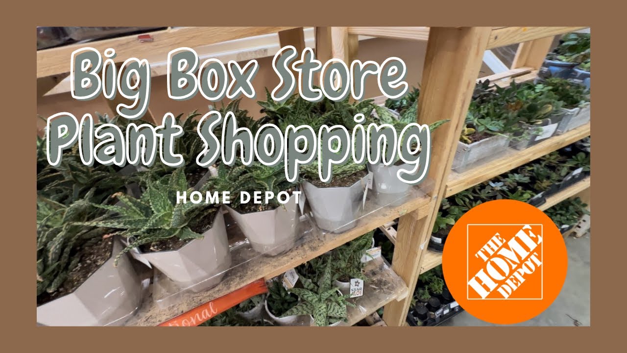 Big Box Store | Home Depot - YouTube
