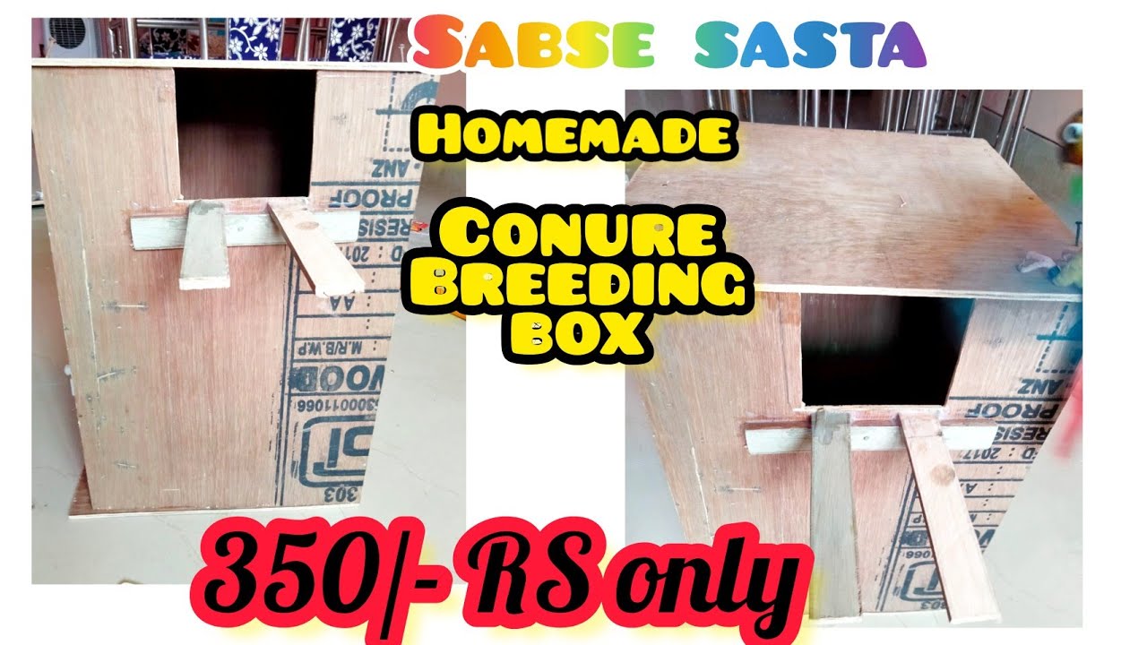 conure breeding box 350/-rs only /Homemade conure breeding box ...