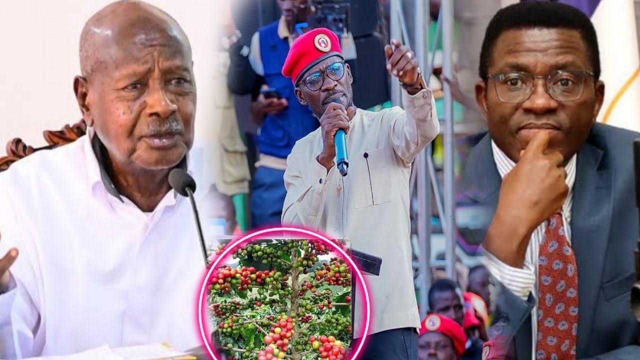 Bobi Wine Ayatulidde Mayiga! Owaffe Yenyini Yeyagabudde Museveni ...